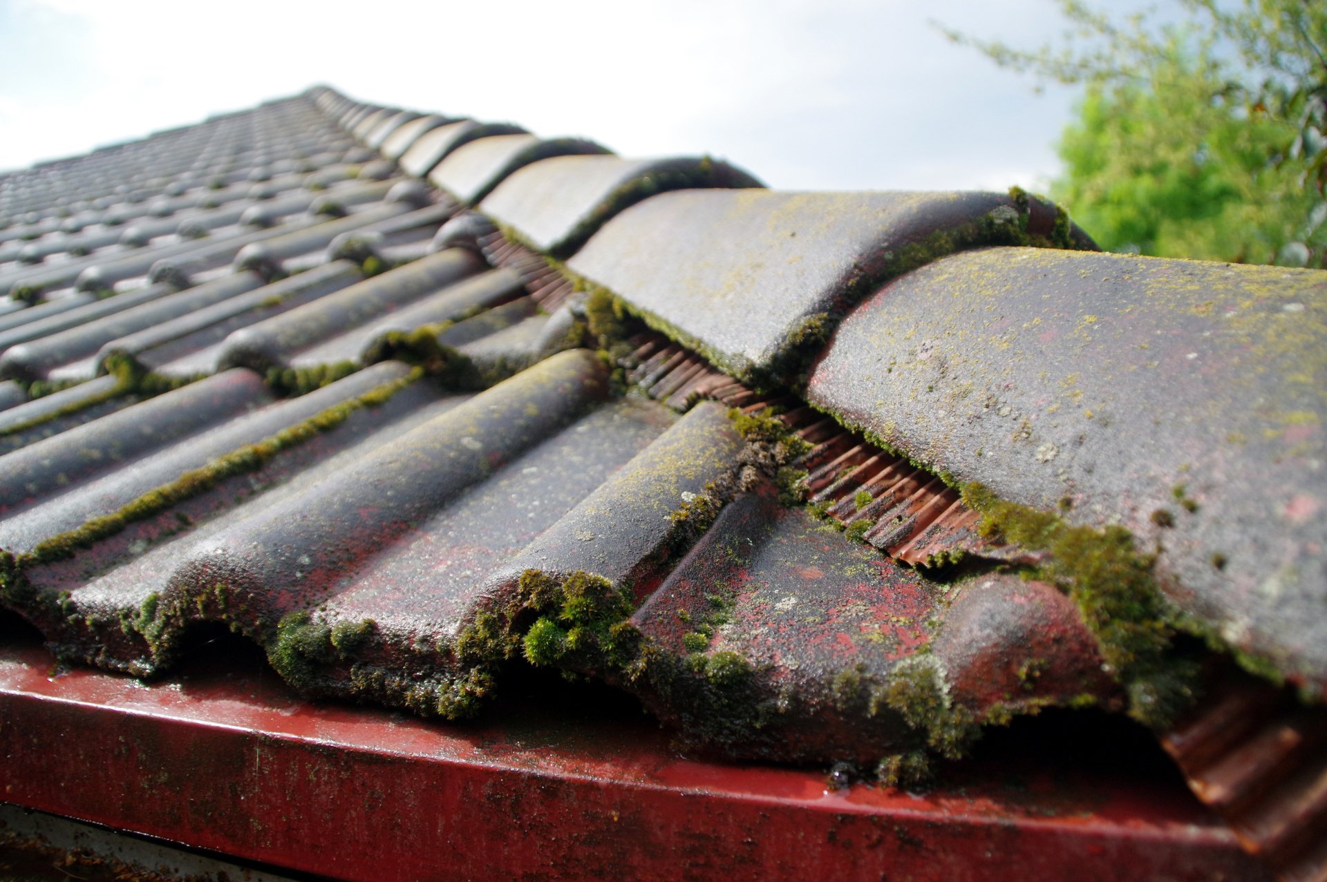 How to remove mold from roof shingles - Enterprise Roofing